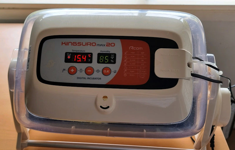 Rcom Incubator Spare Parts | Reviewmotors.co