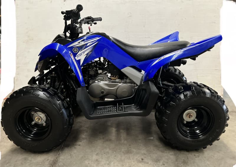 Raptor 4 Wheeler 1000