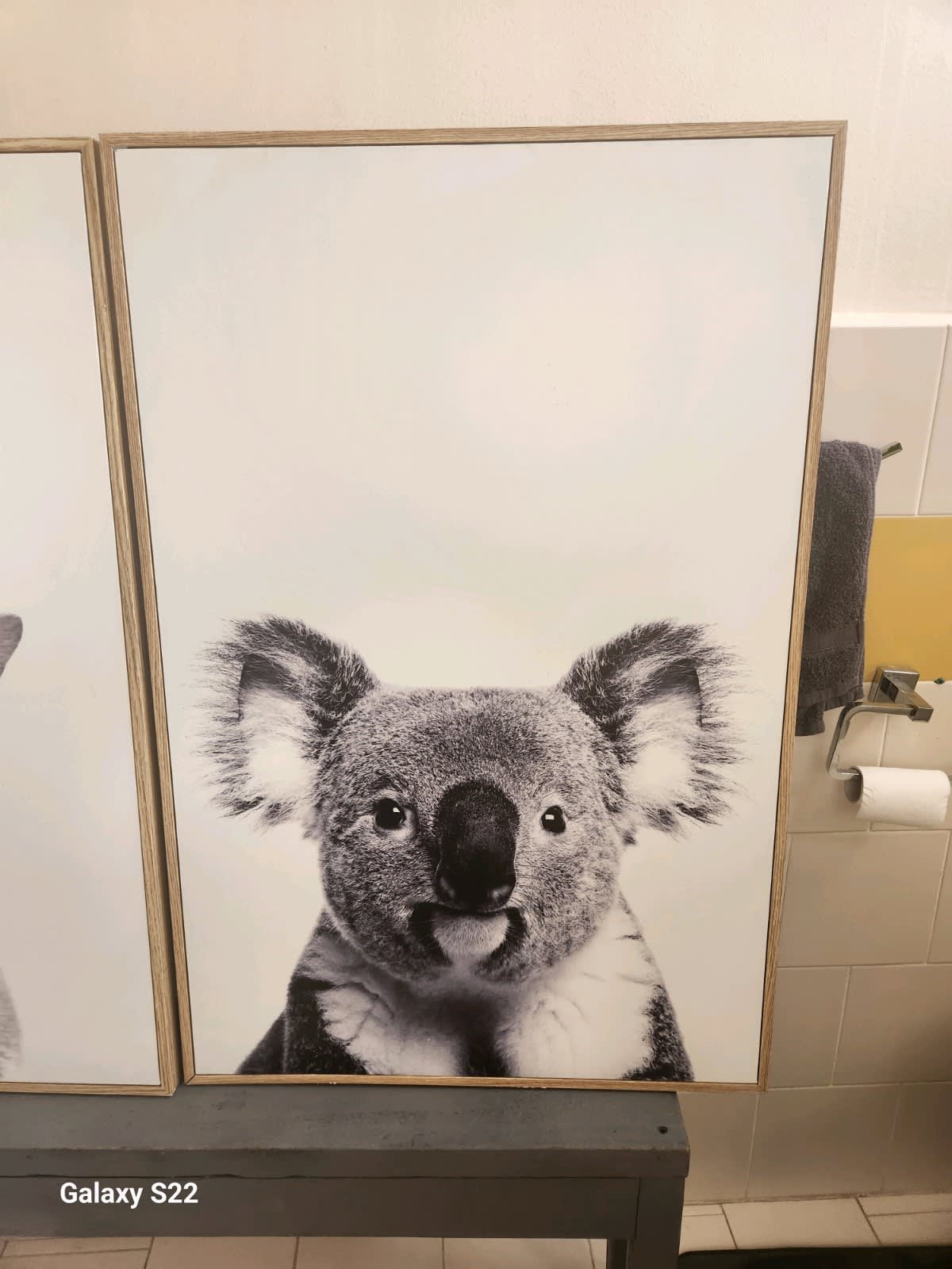 Koala Meme Eucalyptus Unicorn