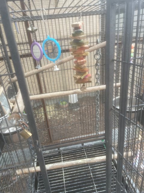 2 Bird Cages for sale | Birds | Gumtree Australia Bendigo City ...