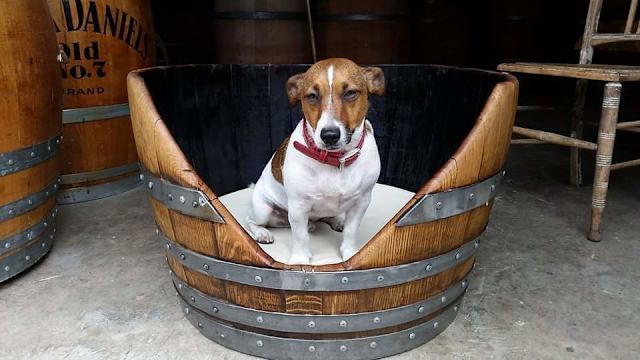 Wine Barrel Dog Box - Antiques in Jamisontown NSW | Gumtree Australia