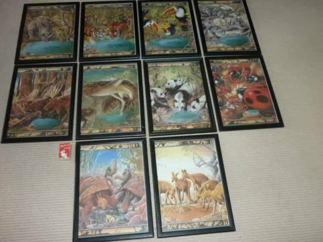 Set of 10, Ten Framed Pictures of Animals, Colourful Animal Prints ...