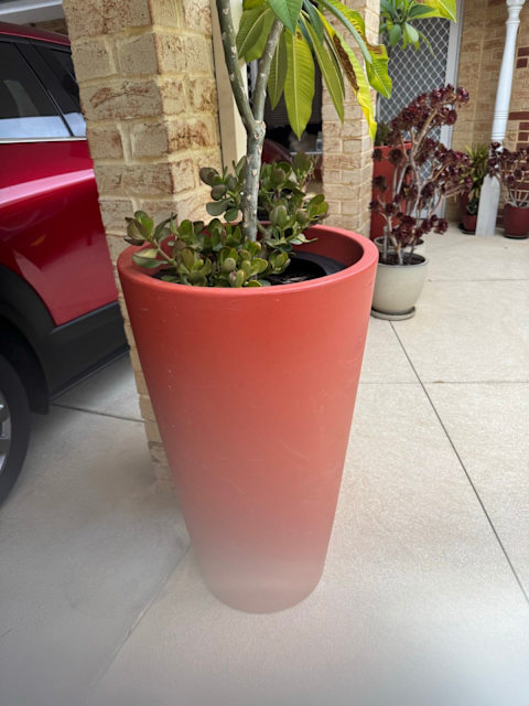 Plant pots - Burgundy colour- FREE - Pots & Garden Beds in Como WA ...