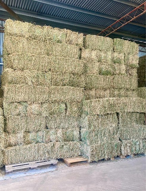 SMALL SQUARES HAY BALES 🔺Lucerne🔺 | Pet Products | Gumtree Australia ...