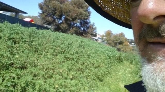 EMERGENCY MOWING - overgrown lawns & yard clean End of lease/sale ...