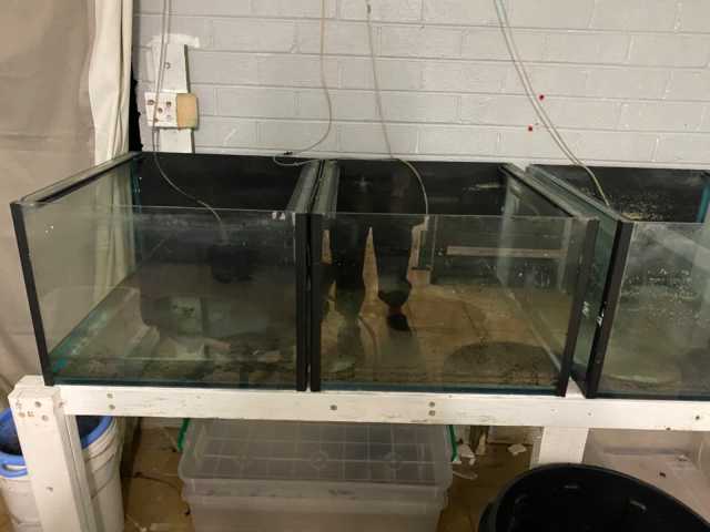 FREE Fish Tanks - Other Home & Garden in Wollongong NSW | Gumtree Australia