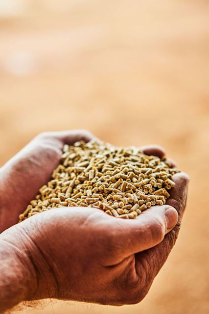 Pellet Mill Operator Needed | Machine Operators | Gumtree Australia ...