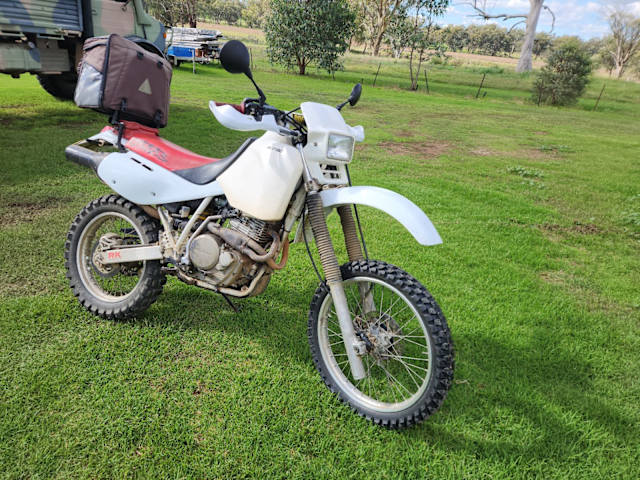 1998 Honda XR600R | Motorcycles | Gumtree Australia Tamworth Surrounds - Loomberah | 1335809252