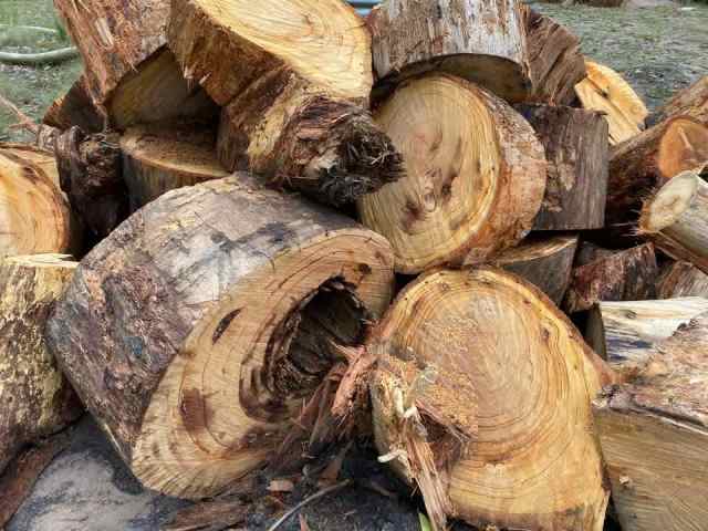 Two Cubic Metres Fire Wood Rounds Delivered Unsplit Pre Cut FireWood ...