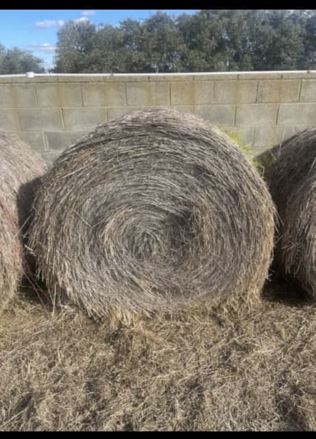 Round Hay Bales - Building Materials in Wollert VIC | Gumtree Australia