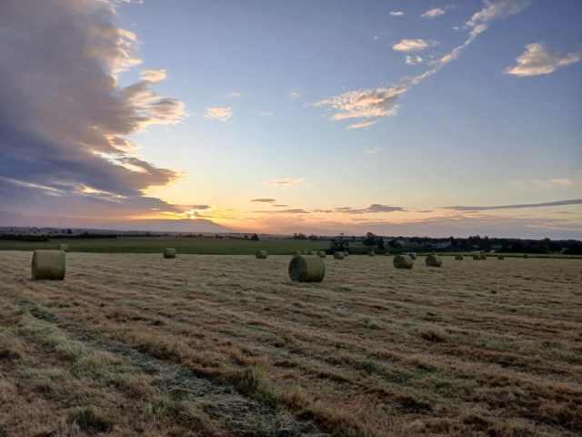 400 new season 5x4 hay bales | Pet Products | Gumtree Australia ...