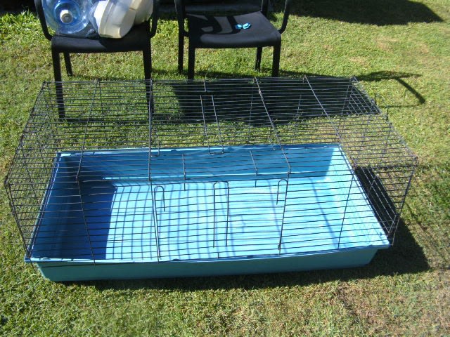 Guinea Pig Cage, Carrier, Chicks, Rats, Small Animals 2 0ff Differant ...