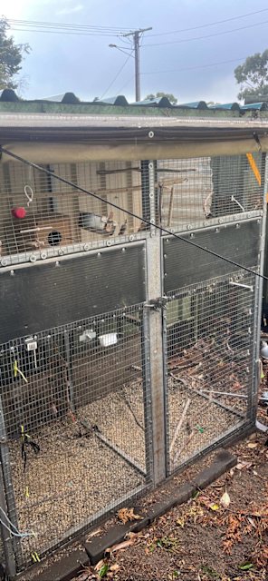 Double aviary that can be made single | Pet Products | Gumtree ...