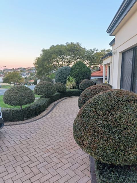 Gardener - Garden Maintenance | Landscaping & Gardening | Gumtree ...