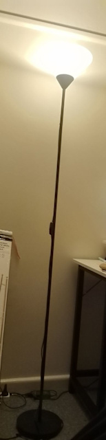 tall floor lamp - Floor Lamps in Wangaratta VIC | Gumtree Australia