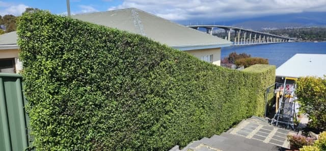 Gardener / Garden Maintenance | Landscaping & Gardening | Gumtree ...