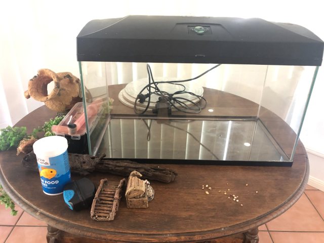 Blue Planet Fish tank | Pet Products | Gumtree Australia Maroochydore ...