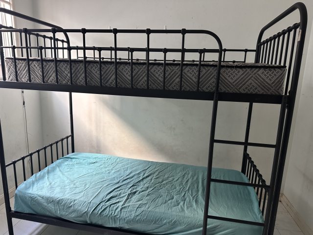 Freedom King Single Bunk Bed - Beds in Mascot NSW | Gumtree Australia