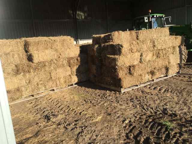 Hay bales | Pet Products | Gumtree Australia Southern Midlands ...