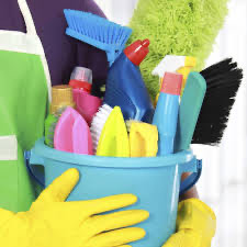 Domestic cleaning services | Cleaner & Housekeeper | Gumtree Australia ...