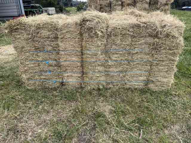 Grass hay bundles 14 packs | Pet Products | Gumtree Australia Clarence ...