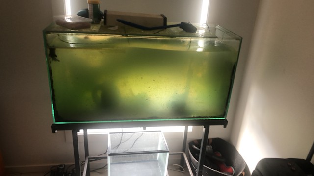 3 foot fish tank and accessories | Fish | Gumtree Australia Tea Tree ...
