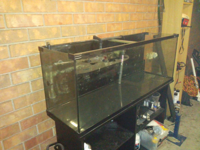 Aquaone 4ft Fish tank 200L | Pet Products | Gumtree Australia Greater ...