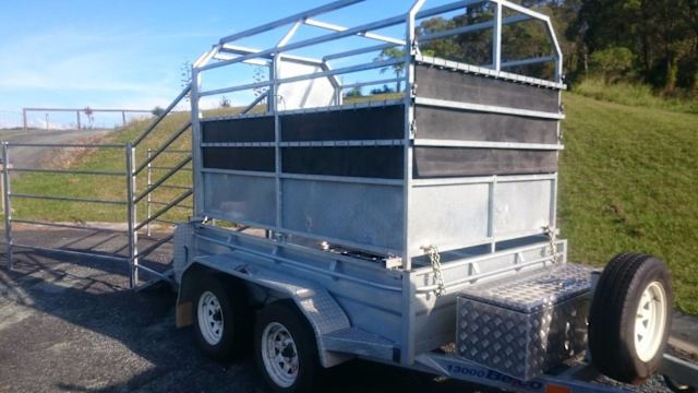 Drovers Dog Stock Work & Transport | Other Pet Services | Gumtree ...
