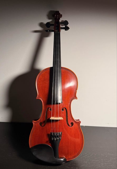 2022 Holzmann Violin 4/4 - Other Musical Instruments in Ermington NSW ...