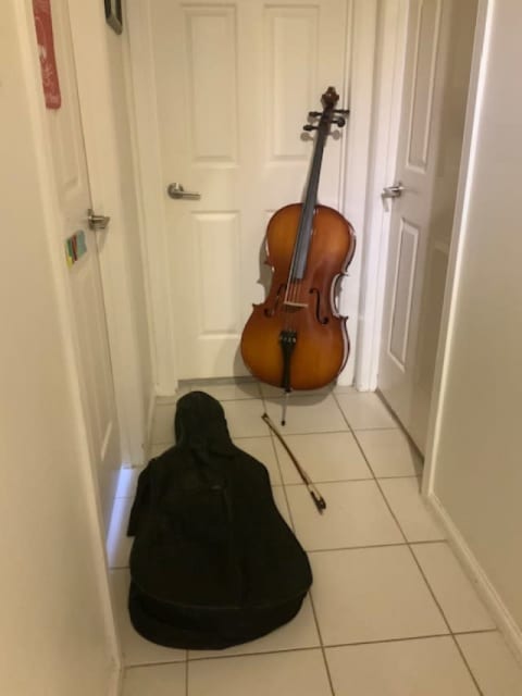 Full sized Cello, Excellent condition as new - Other Musical ...