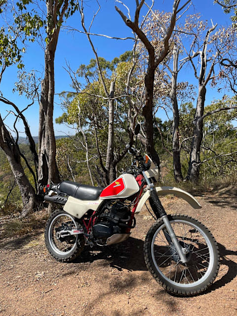 HONDA XL250R 1983 ROAD TRAIL BIKE | Motorcycles | Gumtree Australia ...