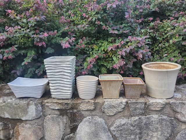 Assorted Ceramic Plant Pots - Pots & Garden Beds in Theodore ACT ...