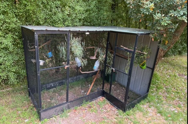 Large Bird Cage | Birds | Gumtree Australia Yarra Ranges - Montrose ...