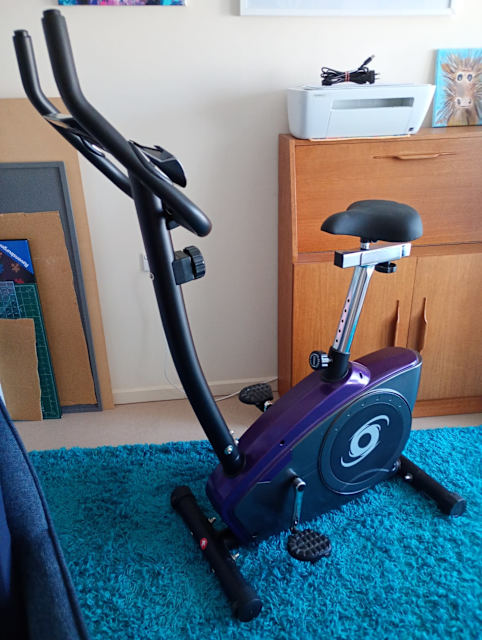 Orbit Exercise Bike and Armotech Inversion Table - Gym & Fitness in ...