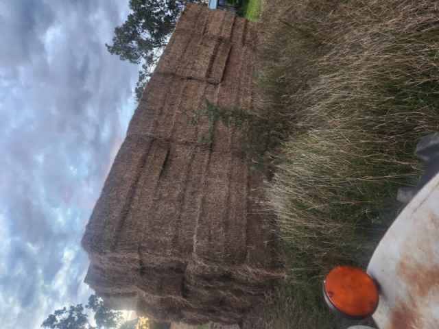 Grassy hay large bales for sale | Pet Products | Gumtree Australia ...