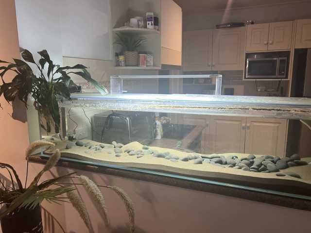 4ft low fish tank with accessories | Fish | Gumtree Australia Casey ...