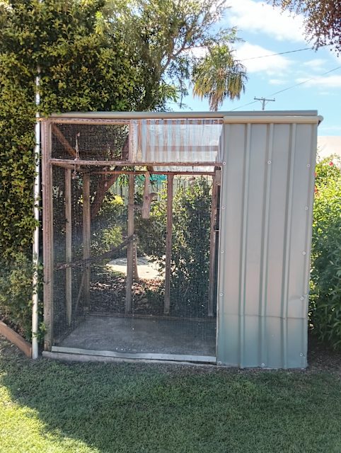 Bird Aviary with cages, breeding boxes + lots more | Pet Products ...