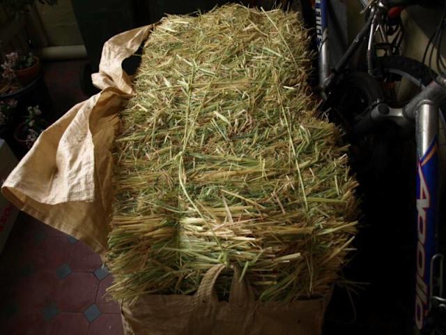 Hay Bale ,fresh oaten hay suit rabbits,guinea pigs | Pet Products ...