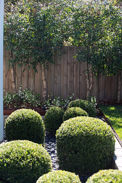 Experienced garden maintenance staff wanted in Sydney North Shore ...