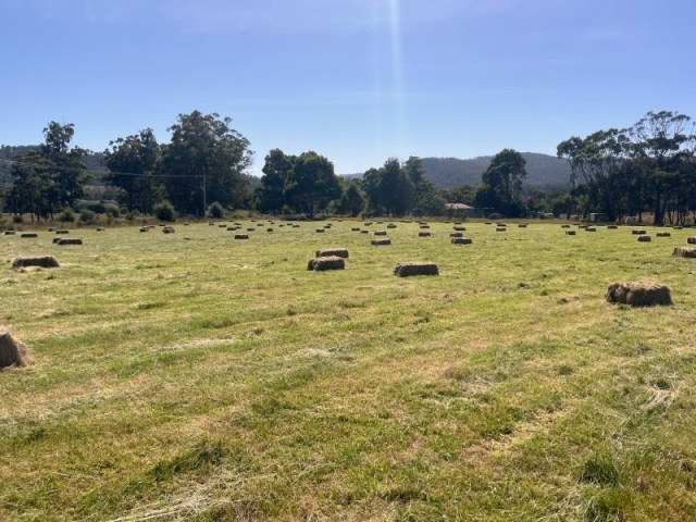 Hay for Sale | Livestock | Gumtree Australia Meander Valley - Kimberley ...