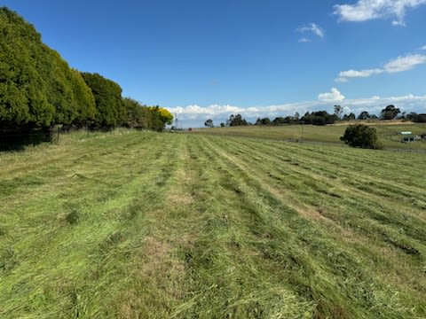 Rectangle hay bales - baled 22/12/24 | Pet Products | Gumtree Australia ...