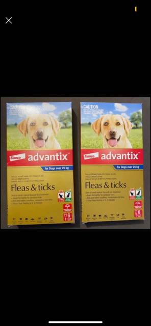 Advantix blue for extra large dog 6pk x 2. $140 for both packets. | Pet ...