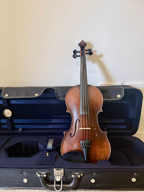 Advanced Violin 4/4 (2020) with hard case - Other Musical Instruments ...