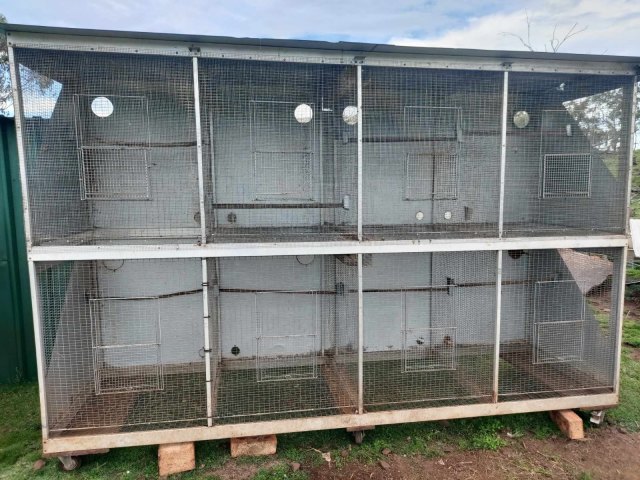 Large 7/8 Bay Bird Aviary (Well Built) | Pet Products | Gumtree ...