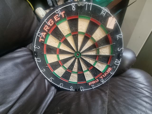 target pro tour dart board - Other Sports & Fitness in Earlville QLD ...