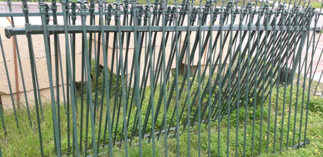 Berkeley style fence panels 5 approx 2.2m, two gates .9m cottage green ...