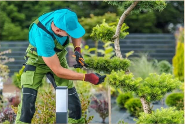 Gardener ready to Work | Landscaping & Gardening | Gumtree Australia ...