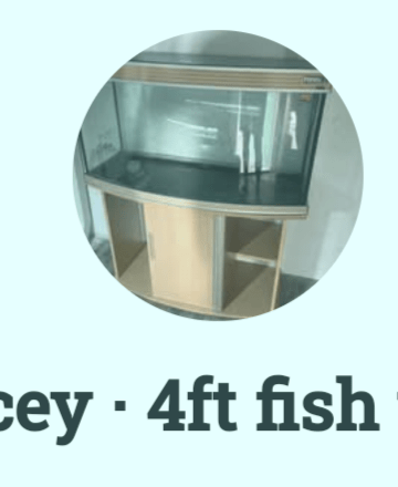 i4ft Curved Fish Tank | Pet Products | Gumtree Australia Kwinana Area ...