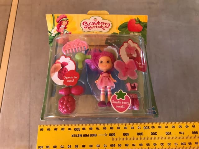 Strawberry Shortcake RASPBERRY TORTE Doll Playset HASBRO NEW 2009 ...