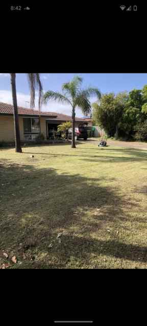 We can come today! Easy peasy gardening | Landscaping & Gardening ...